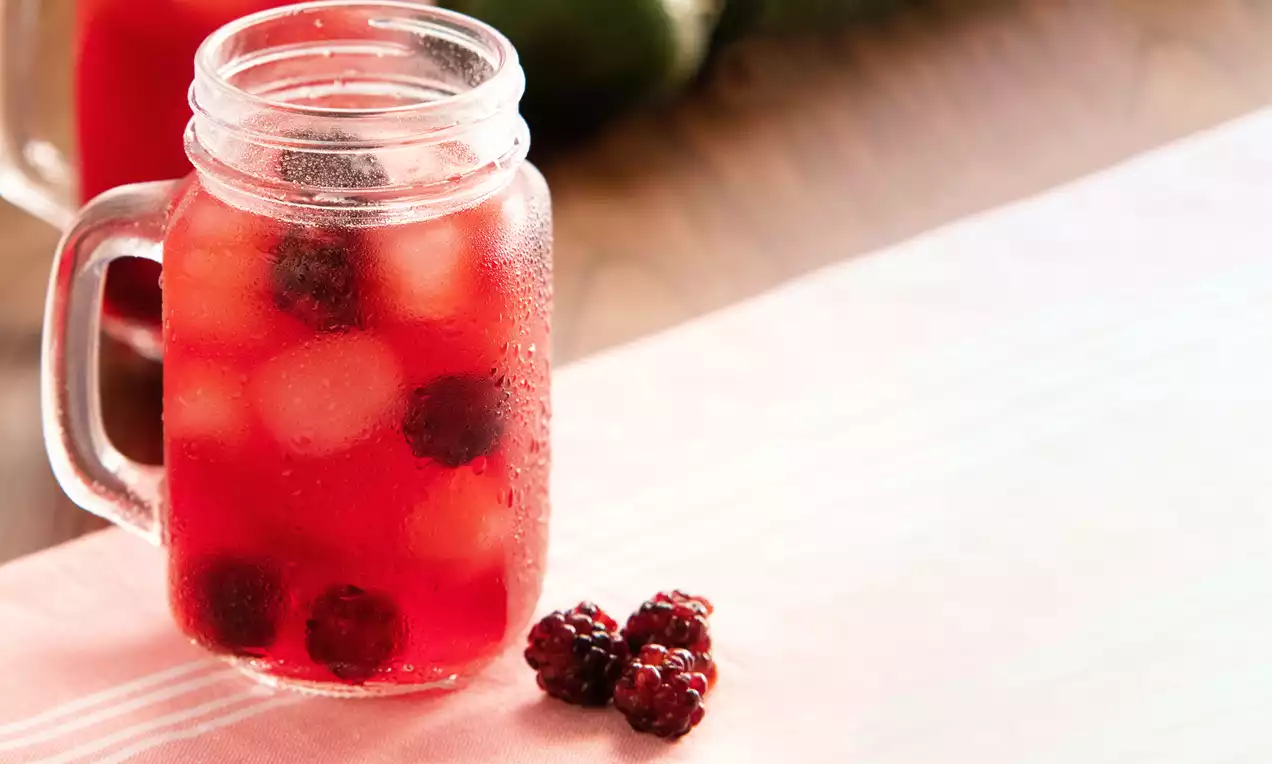 Chá Gelado de Frutas Vermelhas Receita | Dr. Oetker